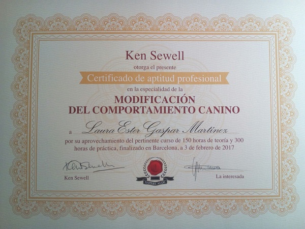 TESTIMONIOS Y OPINIONES - Ken Sewell